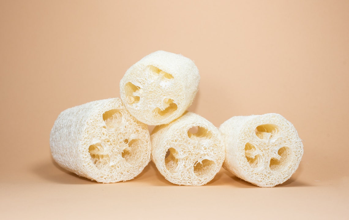 Natural Loofah Set of 2 | Loofah Sponge | Zero Waste Loofah | Plastic ...