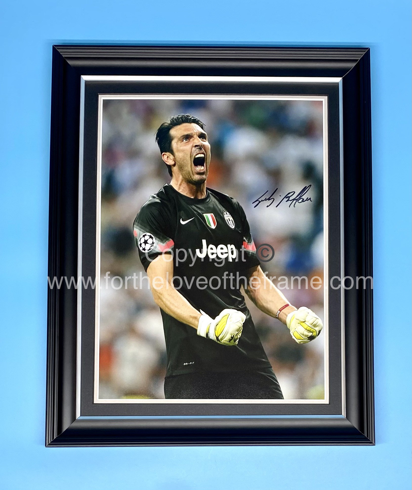 Buffon Save Wallpaper