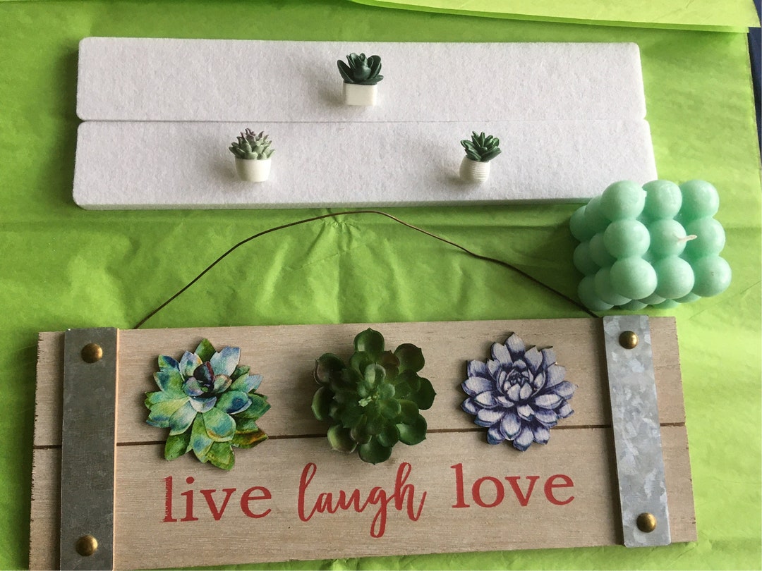 Cactus Office Home Decor Gift Set Cacti Push Pins Felt Bulletin Board ...