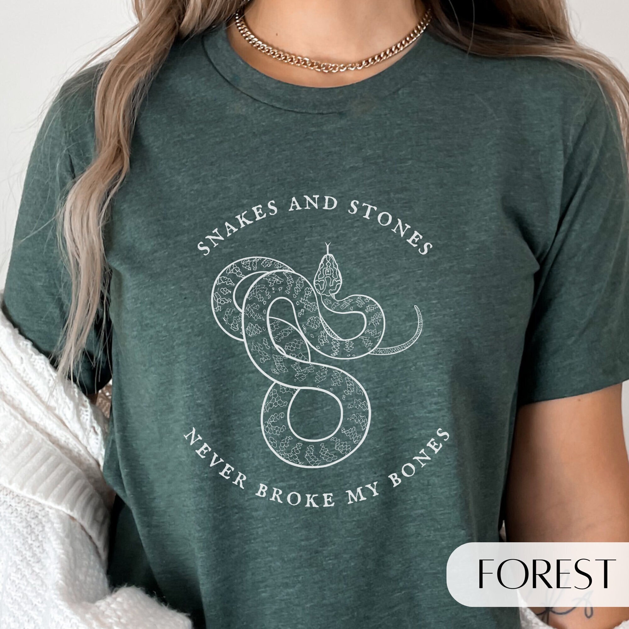 Snakes and Stones Taylor Swift T Shirt Subtle TTPD Swiftie Shirt Eras ...