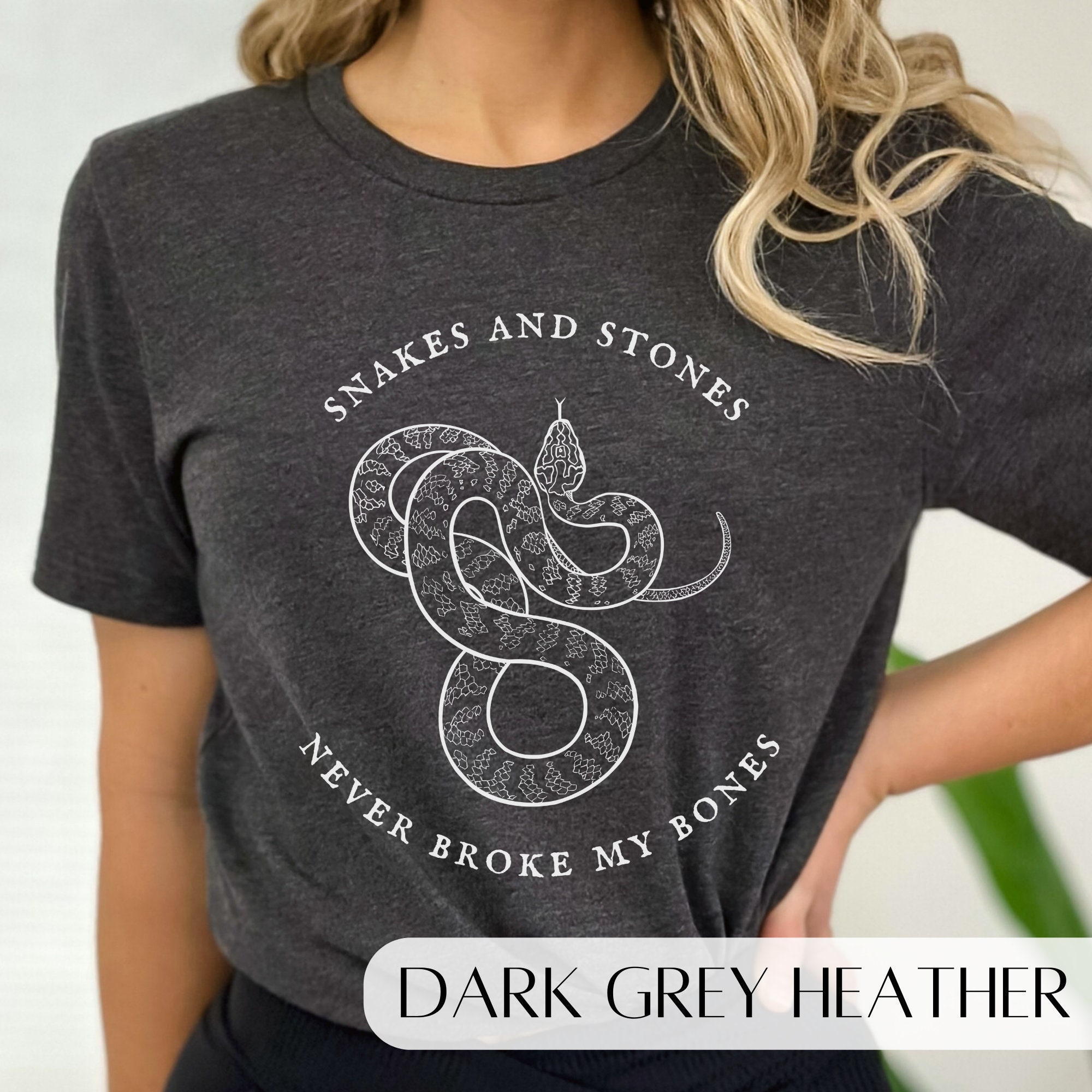 Snakes and Stones Taylor Swift T Shirt Subtle TTPD Swiftie Shirt Eras ...