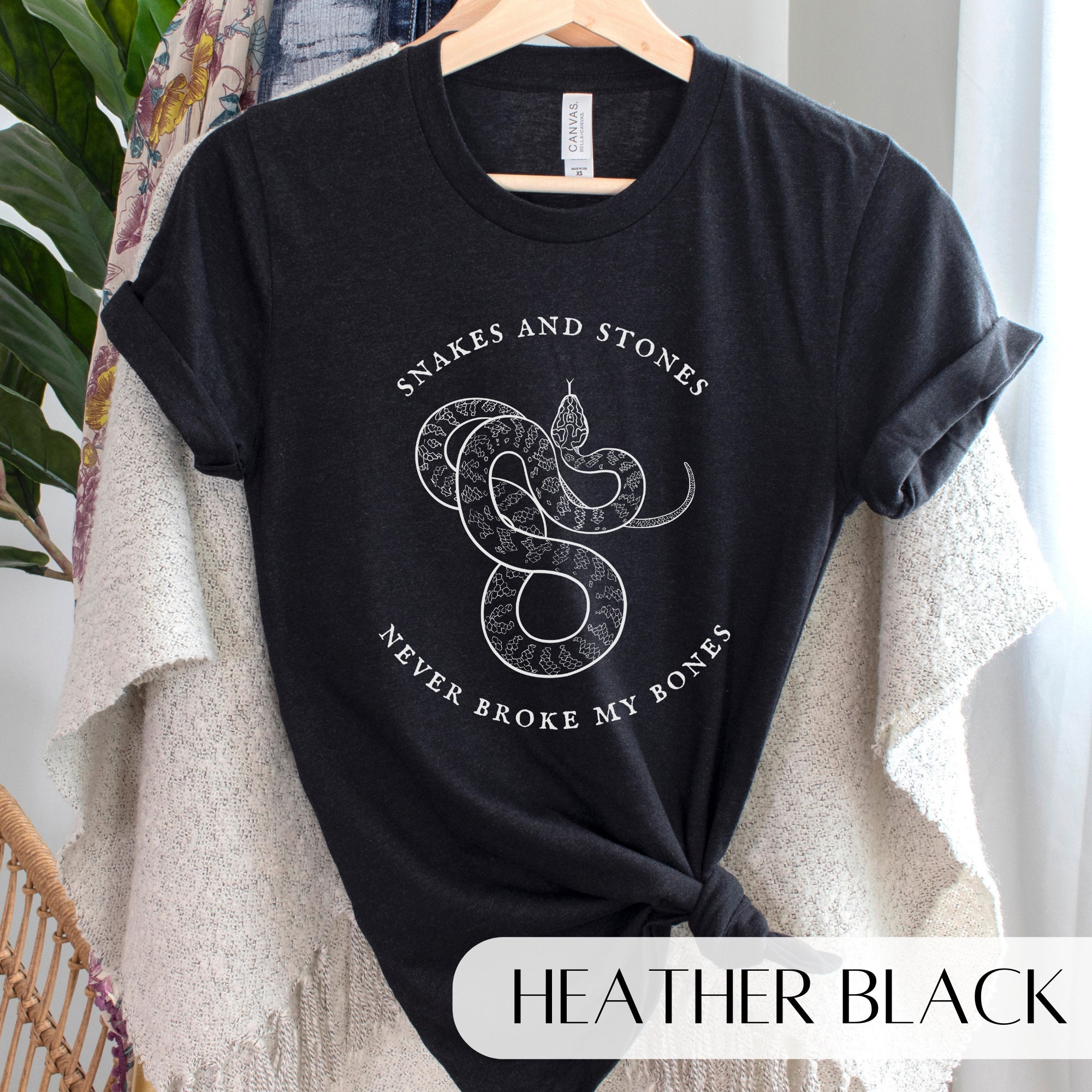 Snakes and Stones Taylor Swift T Shirt Subtle TTPD Swiftie Shirt Eras ...