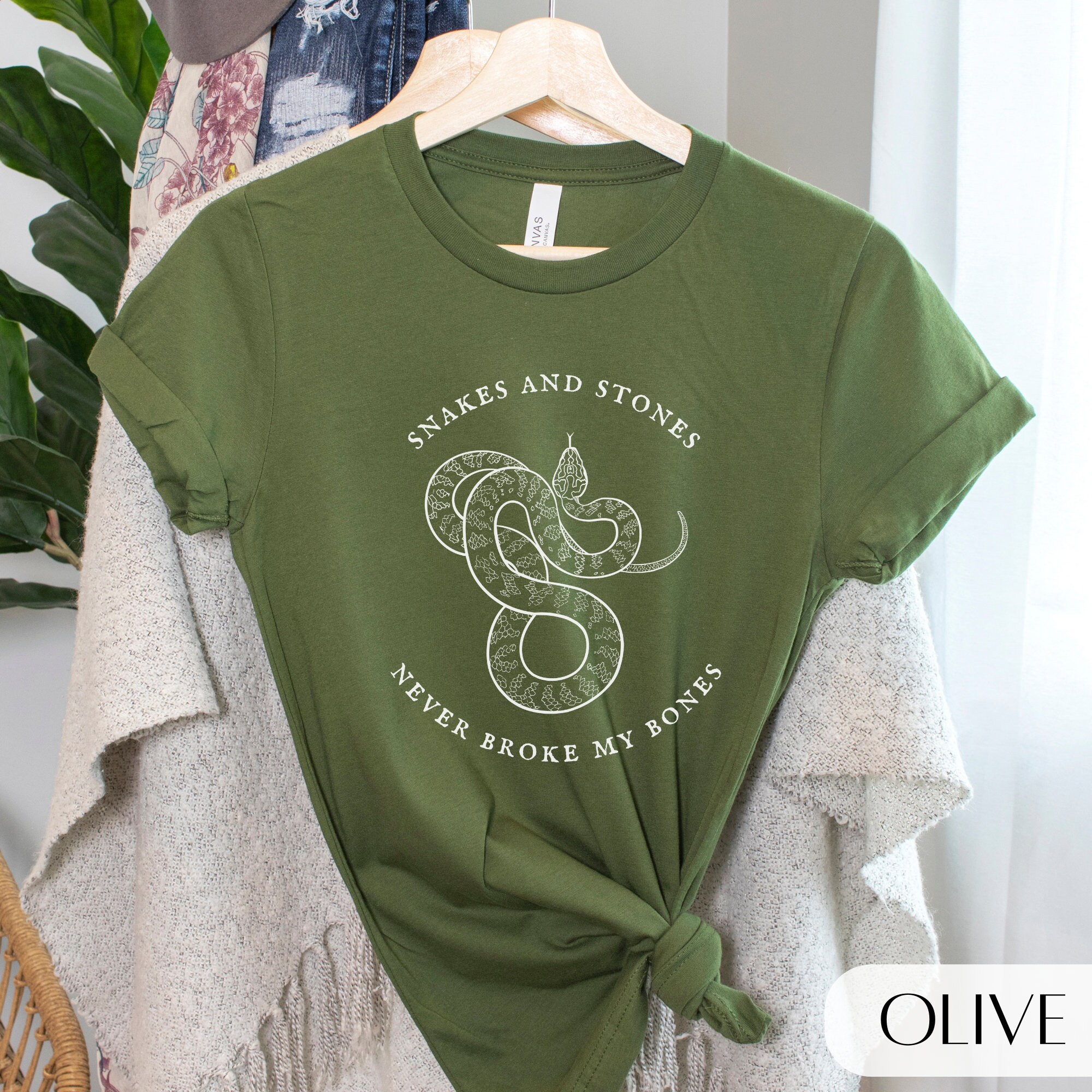 Snakes and Stones Taylor Swift T Shirt Subtle TTPD Swiftie Shirt Eras ...