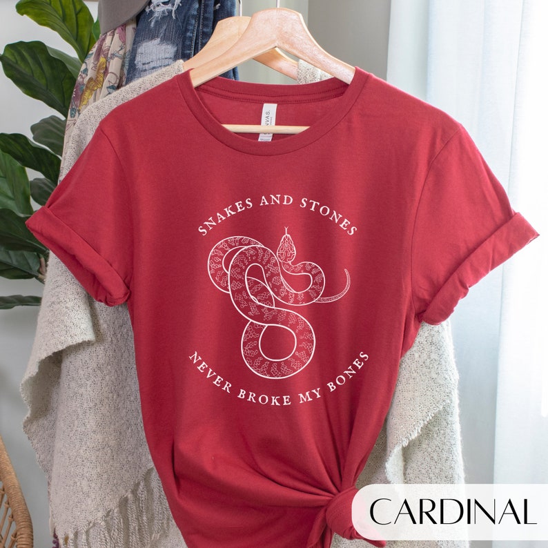 Snakes and Stones Taylor Swift T Shirt Subtle TTPD Swiftie Shirt Eras ...