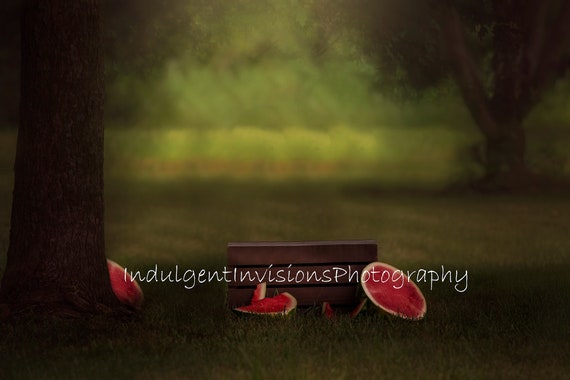 Sweet Watermelon Digital Background - Etsy