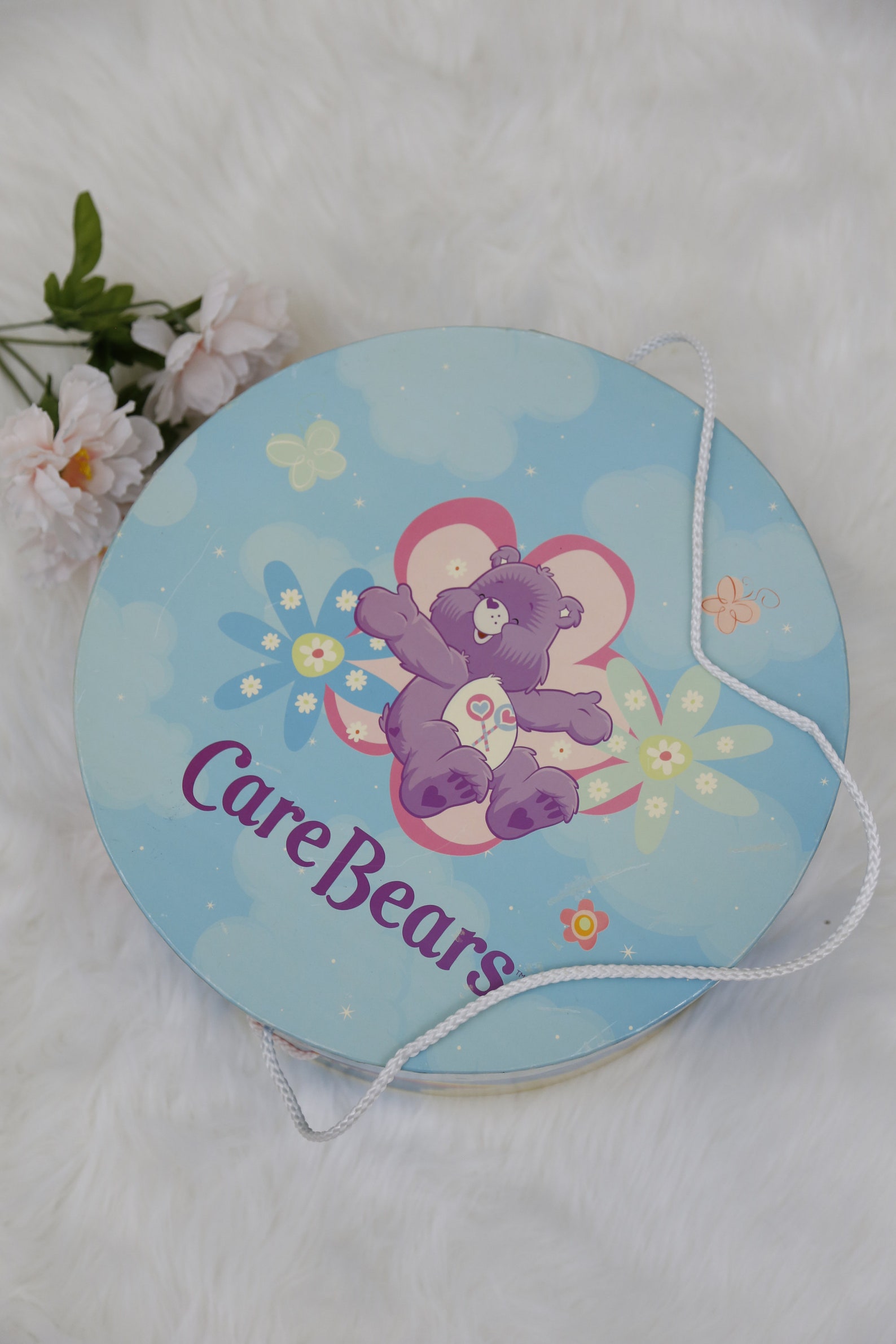 Vintage Large Care Bears Box Collectible Care Bears Care - Etsy