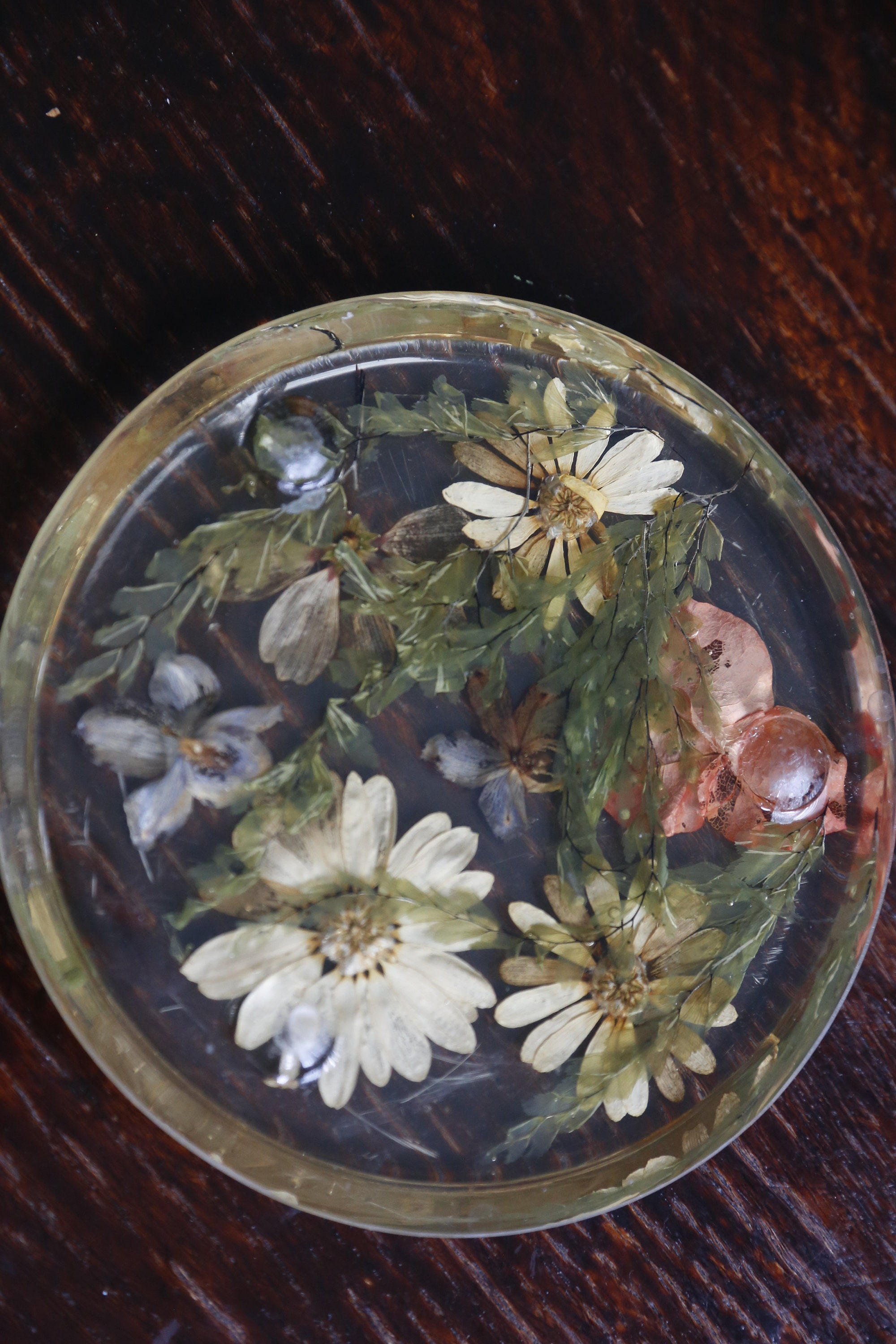 Pressed Natural Flowers Pot Coaster Floral Pressed-pansy - Etsy