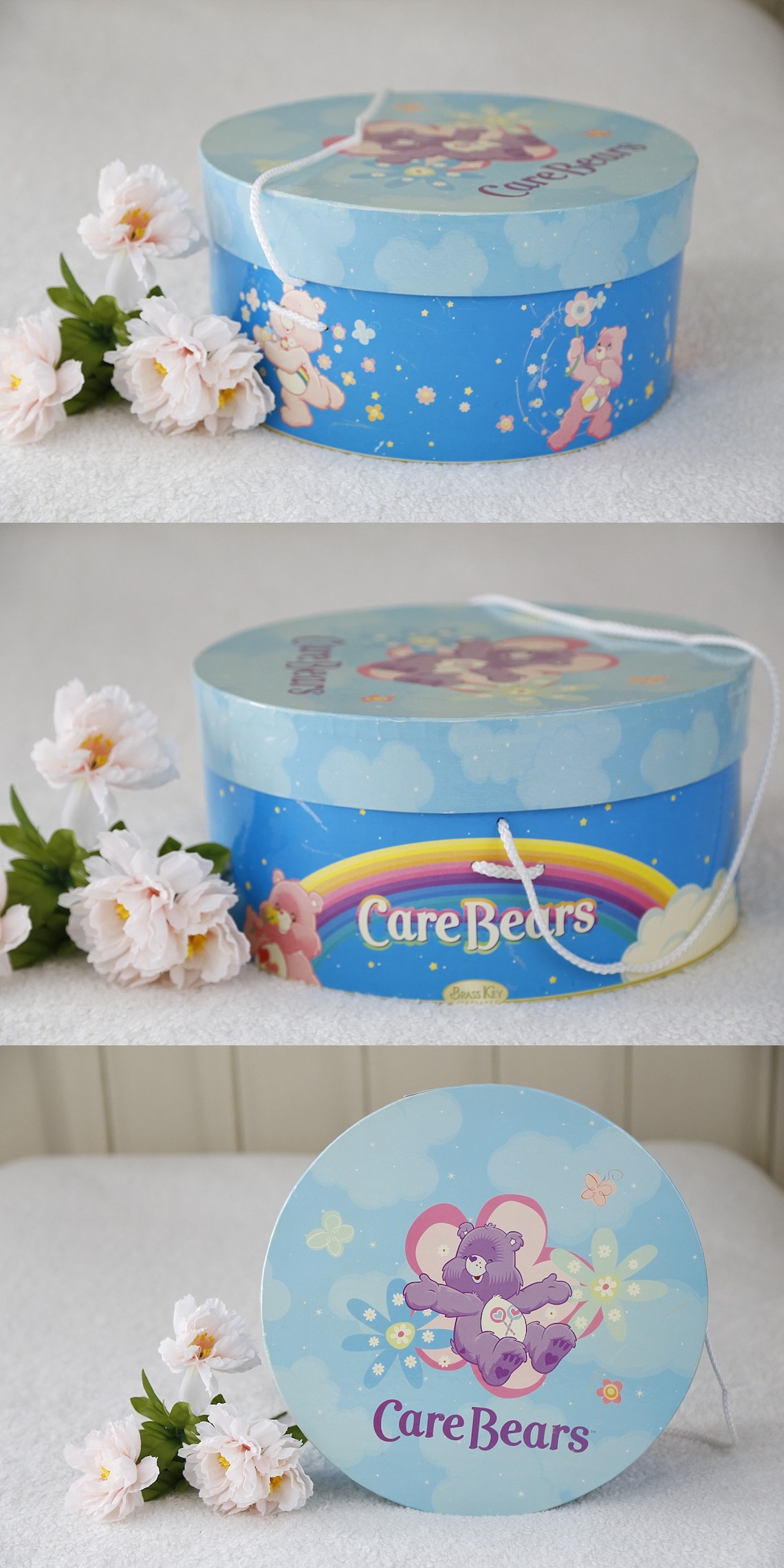 Vintage Large Care Bears Box Collectible Care Bears Care | Etsy