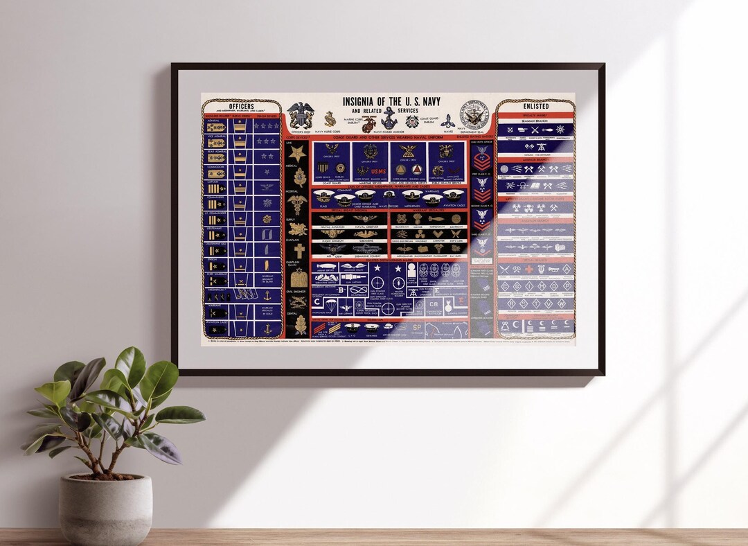 Insignia and Ranks of US Navy and Related Services Retro Vintage Poster ...