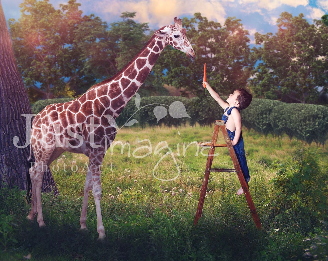 Giraffe Meadow Digital Background, Giraffe, Meadow, Ladder - Etsy