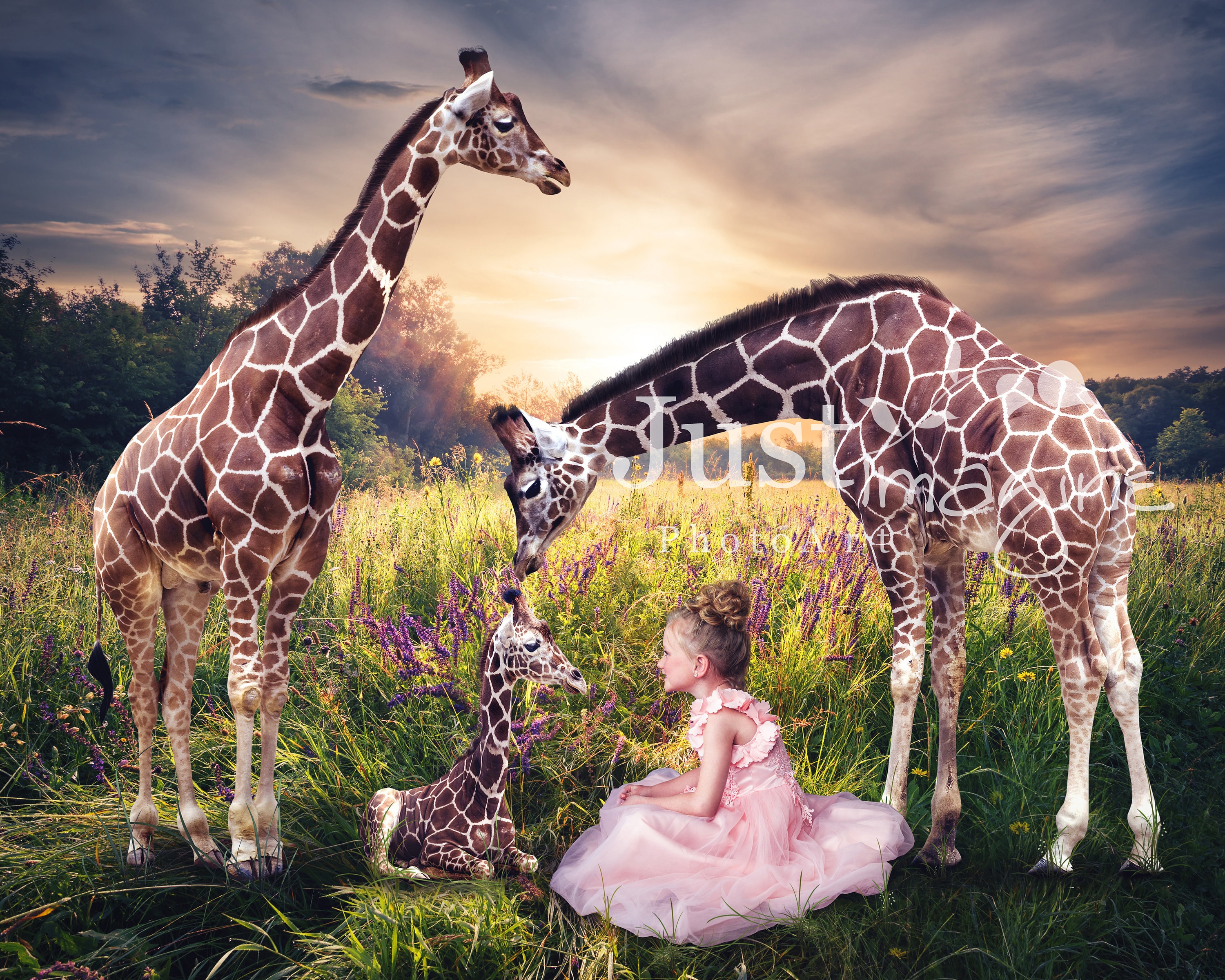 Giraffe Family Digital Family, Giraffe, Baby Giraffe, Meadow - Etsy