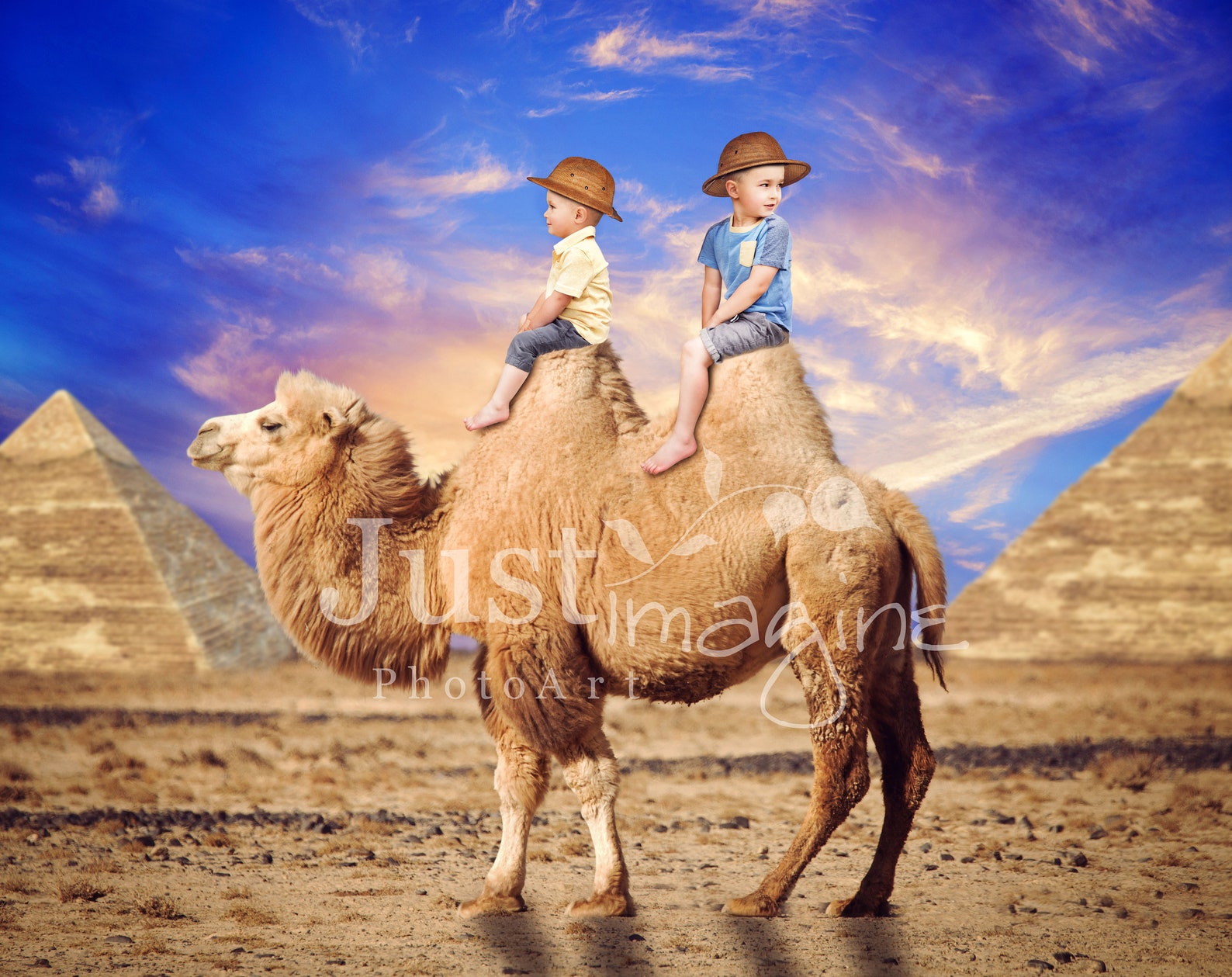 Camel Ride Digital Background, Camel, Desert, Pyramids - Etsy