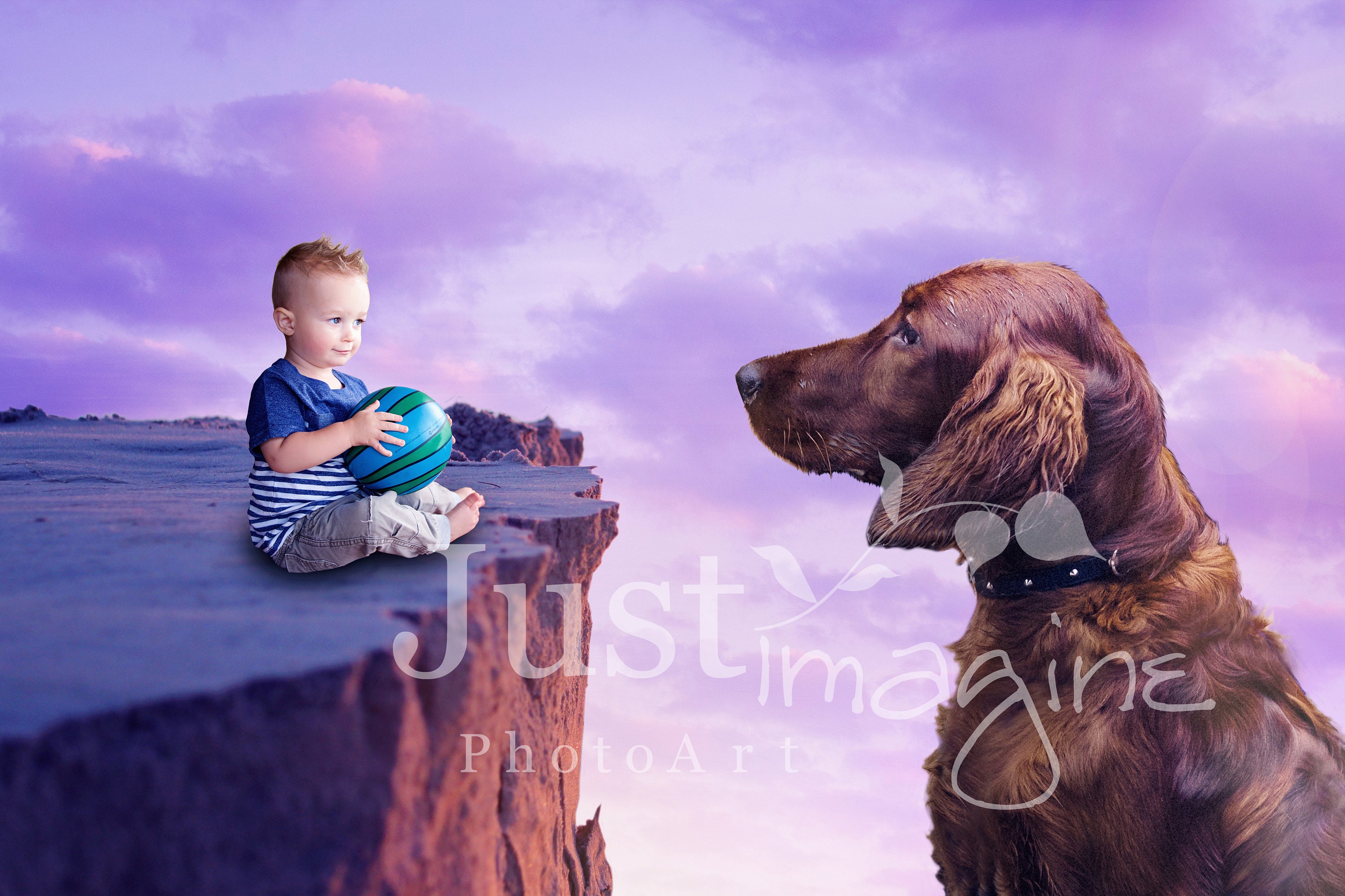 Dog Beach Digital Background, Dog, Beach, Cliff, Big Dog - Etsy