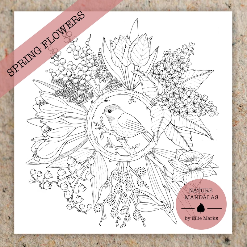 Lilac Coloring Page - Etsy