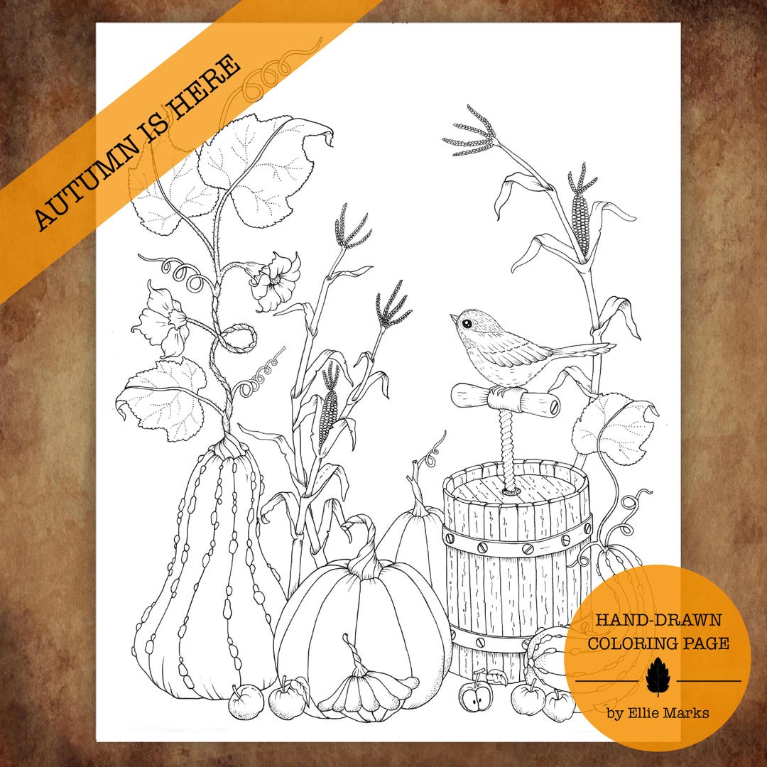 Autumn Coloring Page: Pumpkins and Bird Illustration (PDF Download) - Etsy