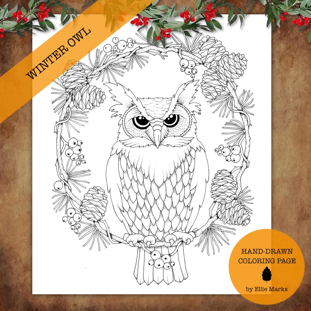 WINTER OWL Printable Coloring Page for Adults Instant Download ...