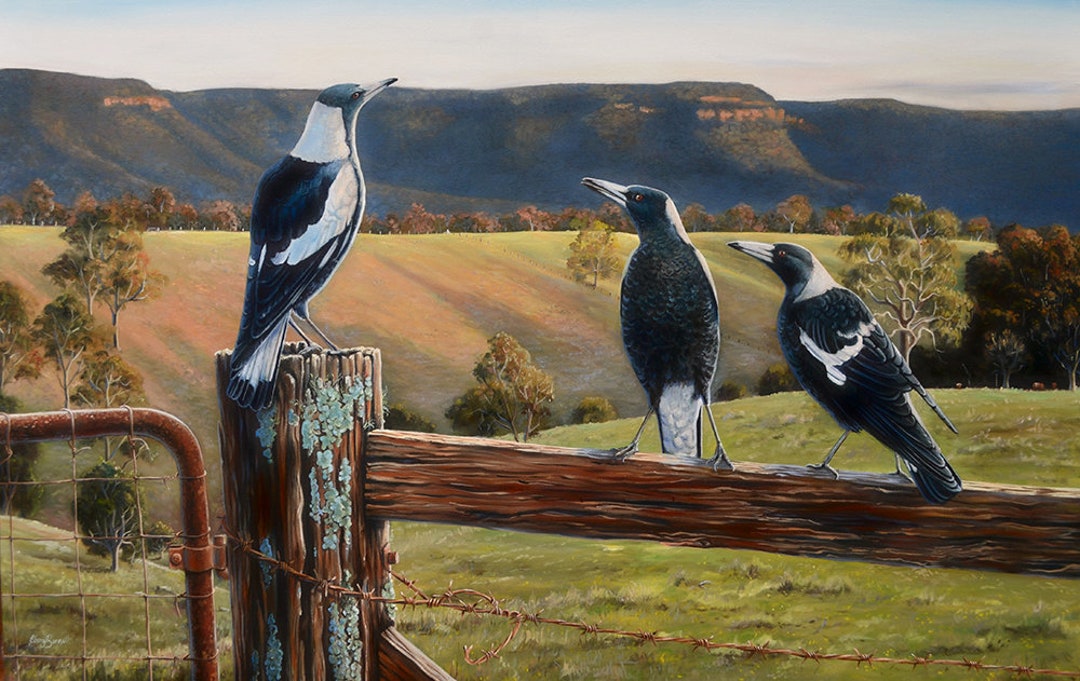 Wildlife Art Puzzles - Australian Magpies 'fence Sitters (1000pc) by ...