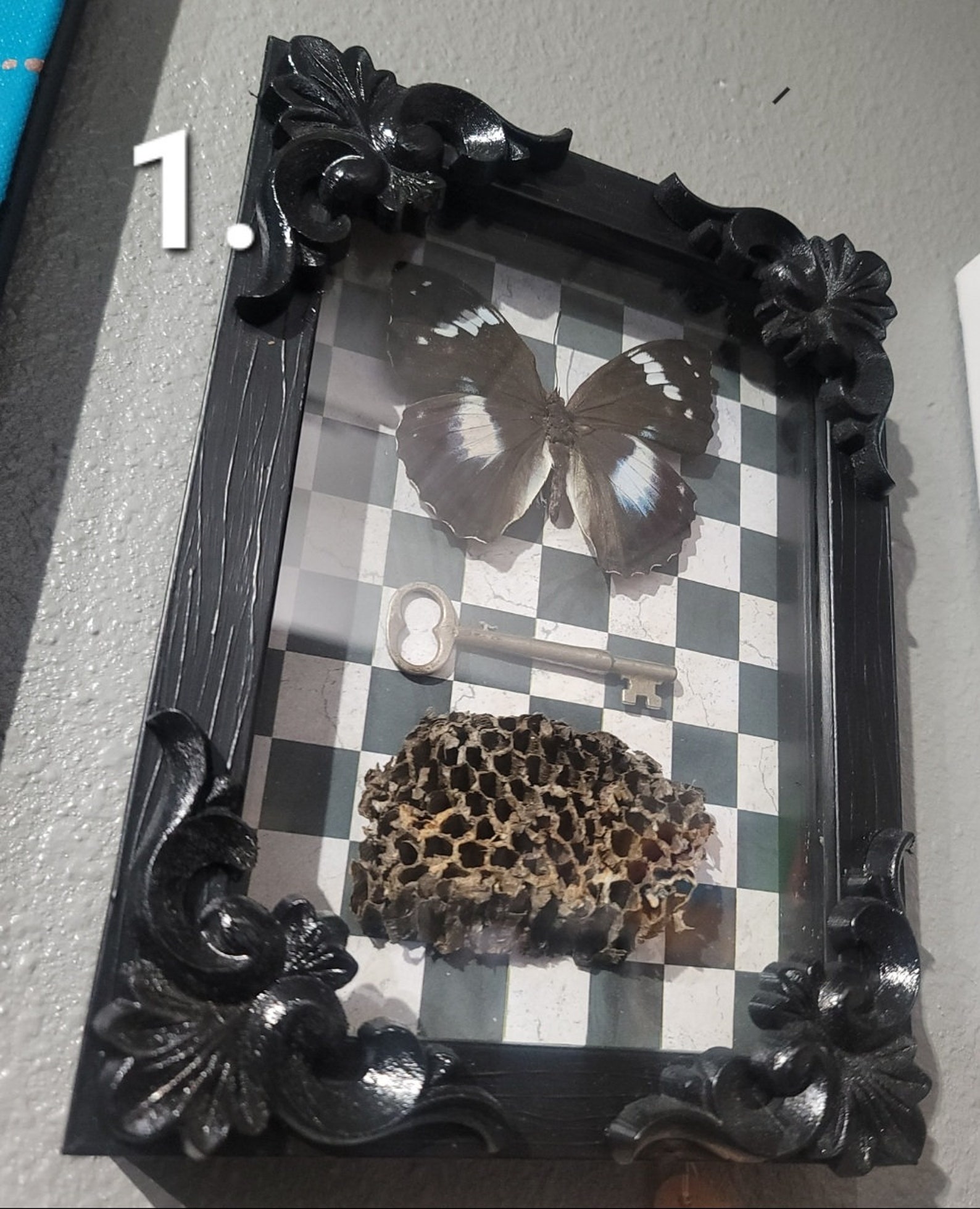 Butterfly/ Bone Assemblages and Shadowboxes - Etsy