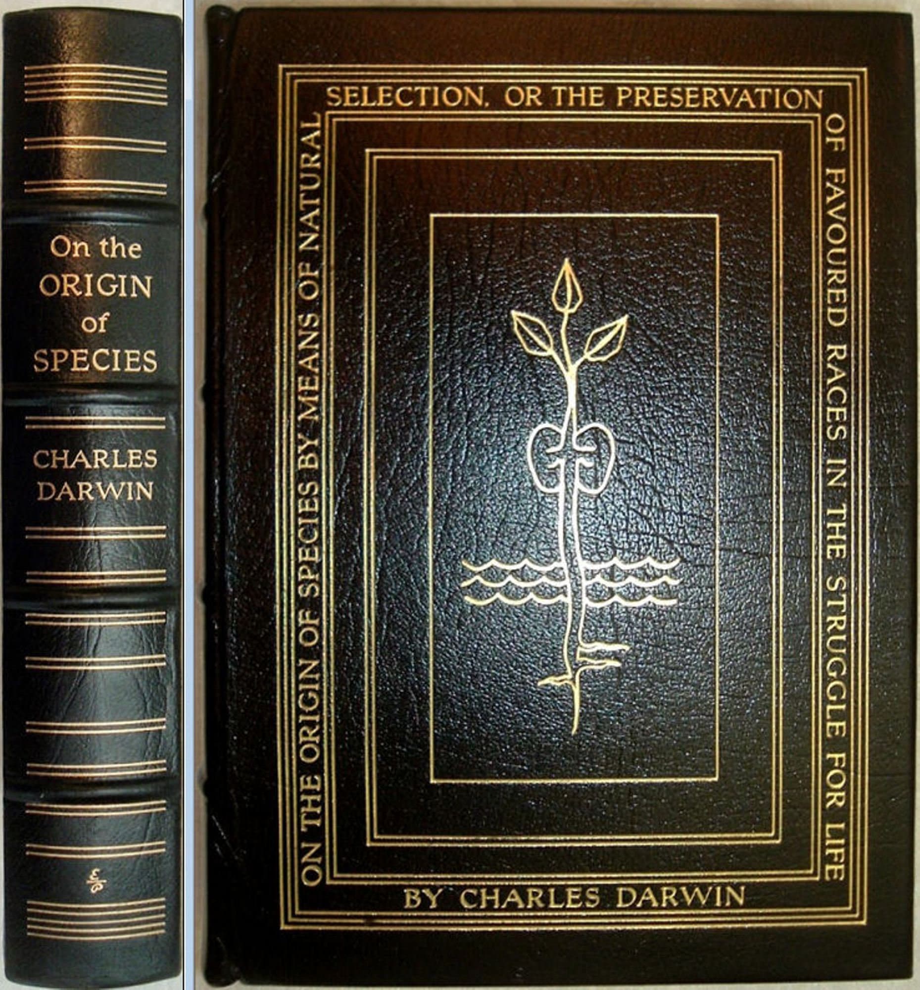 The Origin Of Species Book Cover