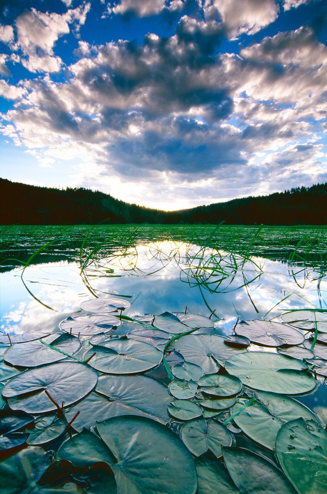 Heyburn State Park, Lake Coeur D'alene, Wall Art, Landscape Print ...