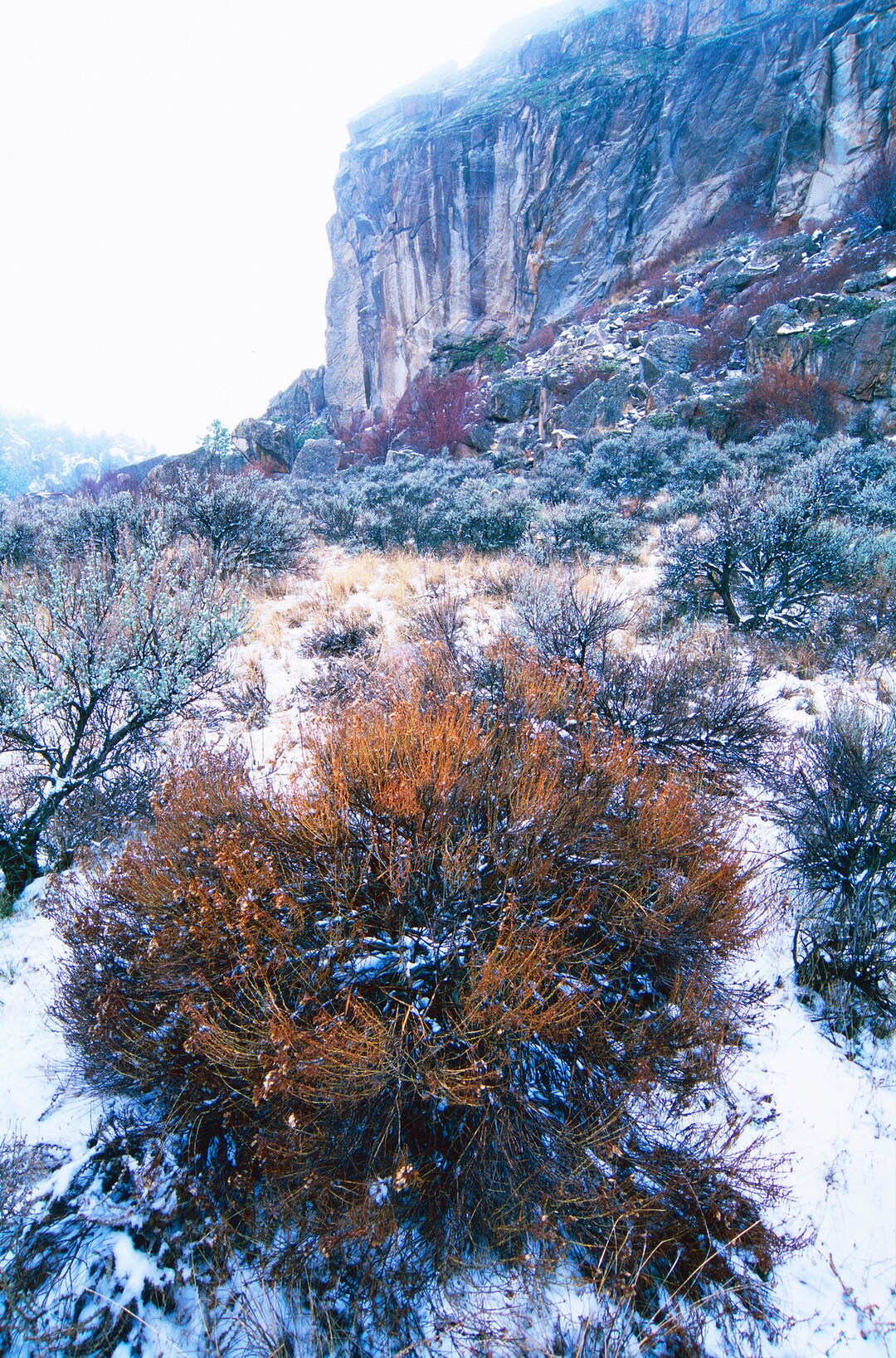 Grand Coulee Winter, Landscape Print, Wall Art, Nature Photography ...