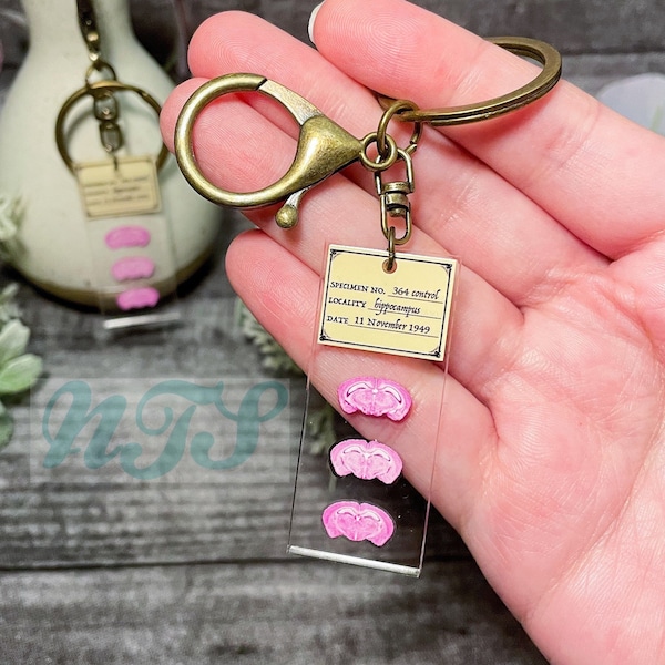 Microscope Slides - Etsy