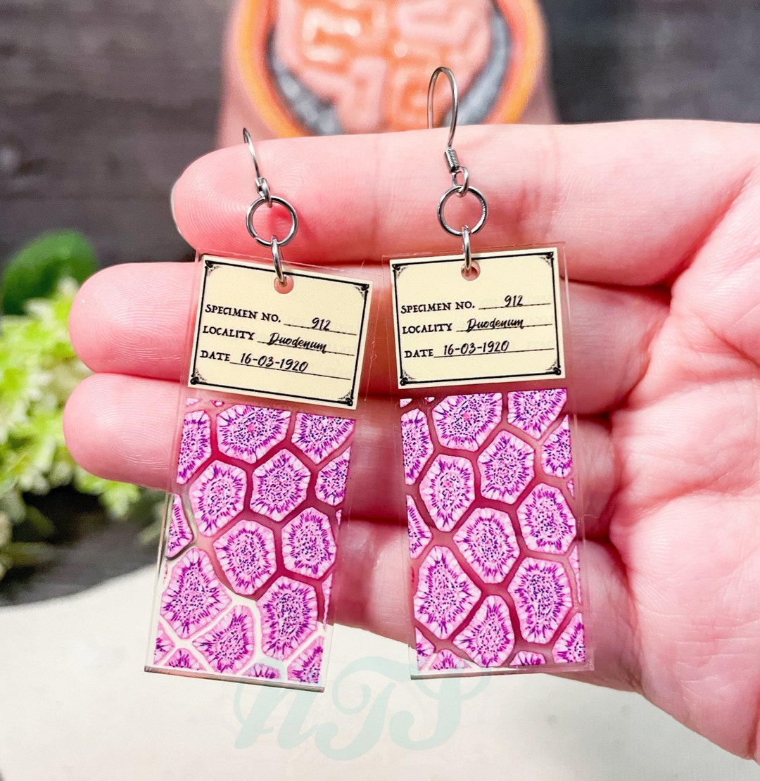 Duodenum Slide Earrings, Printed Microscope Slide Earrings, Small ...