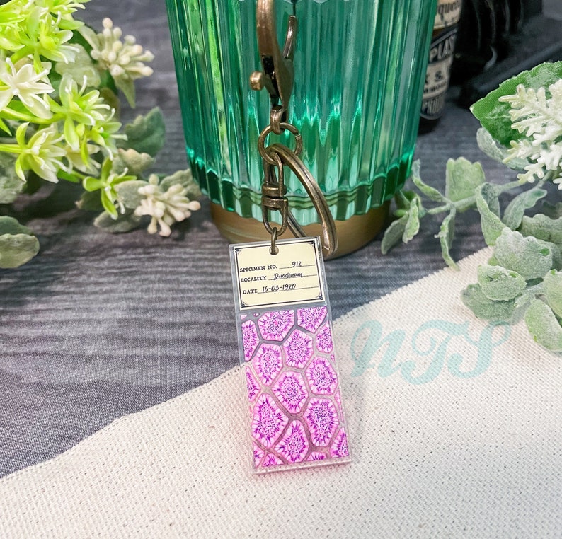 Duodenum Small Intestine Clear Acrylic Printed Histology Keychain - 2 ...