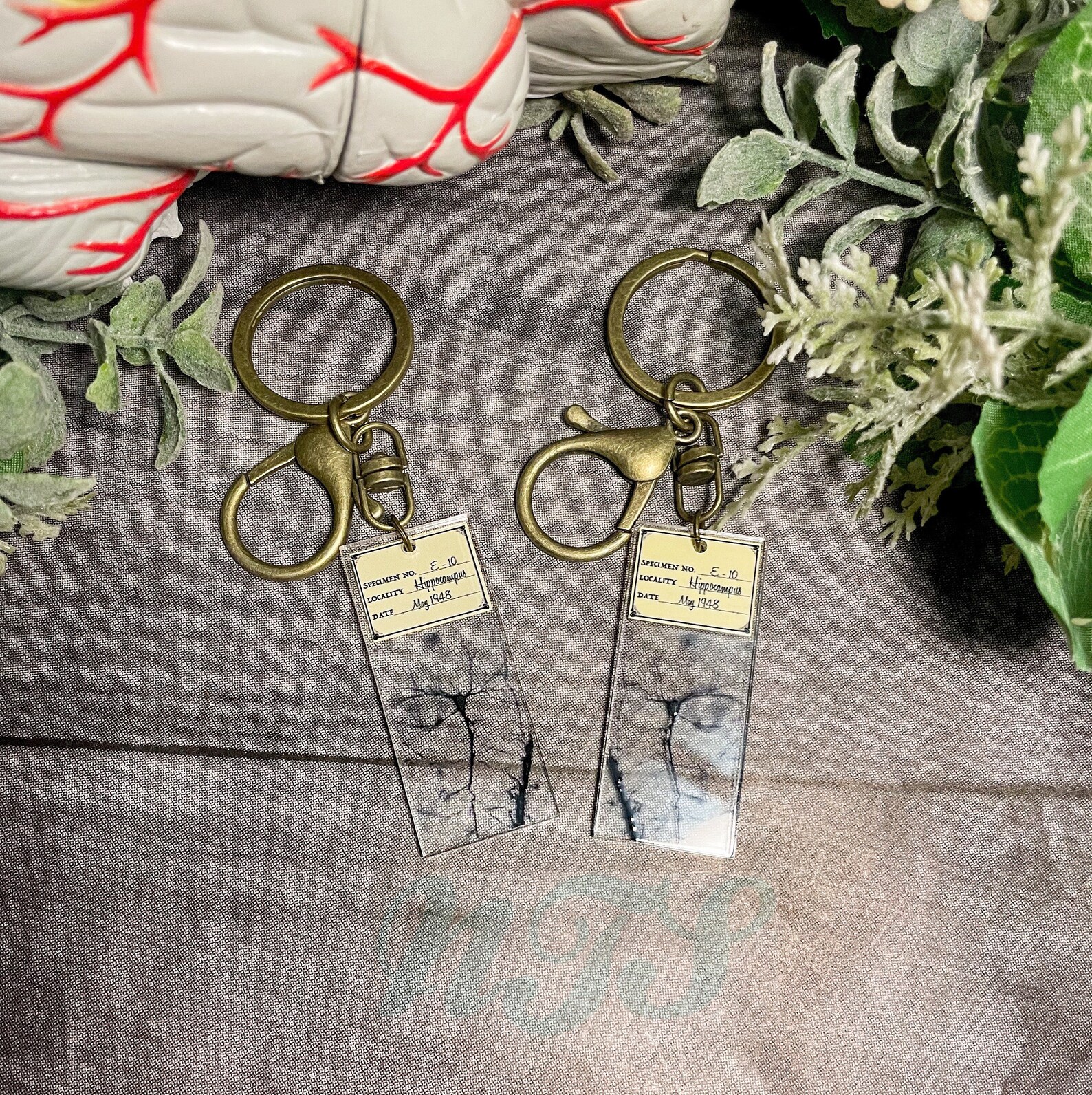 Pyramidal Neuron Microscope Slide Printed Keychain Microscopy - Etsy