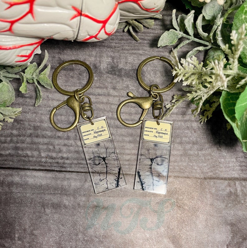 Pyramidal Neuron Microscope Slide Printed Keychain Microscopy - Etsy