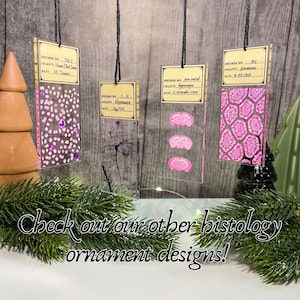 Pyramidal Neuron Acrylic Microscope Slide Ornament - 3.5” - Etsy