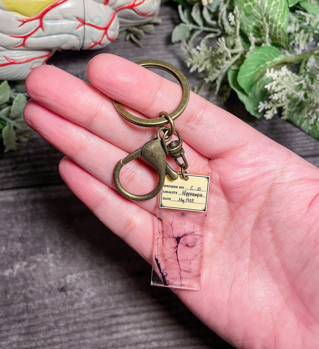 Pyramidal Neuron Microscope Slide Printed Keychain, Microscopy Keychain ...