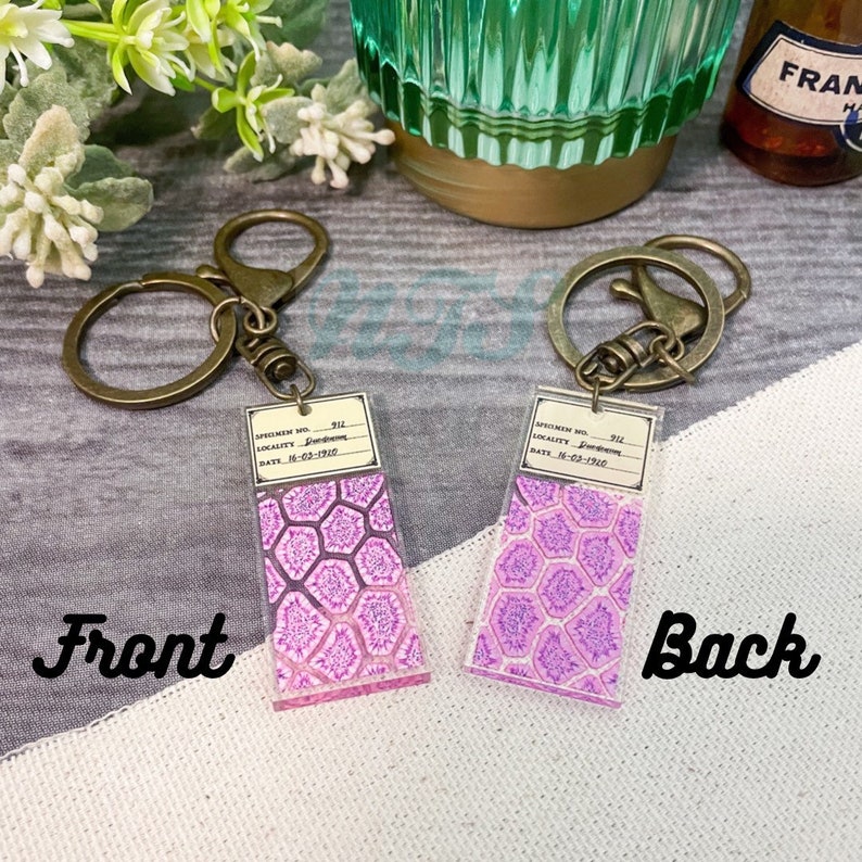 Duodenum Small Intestine Clear Acrylic Printed Histology Keychain - 2 ...
