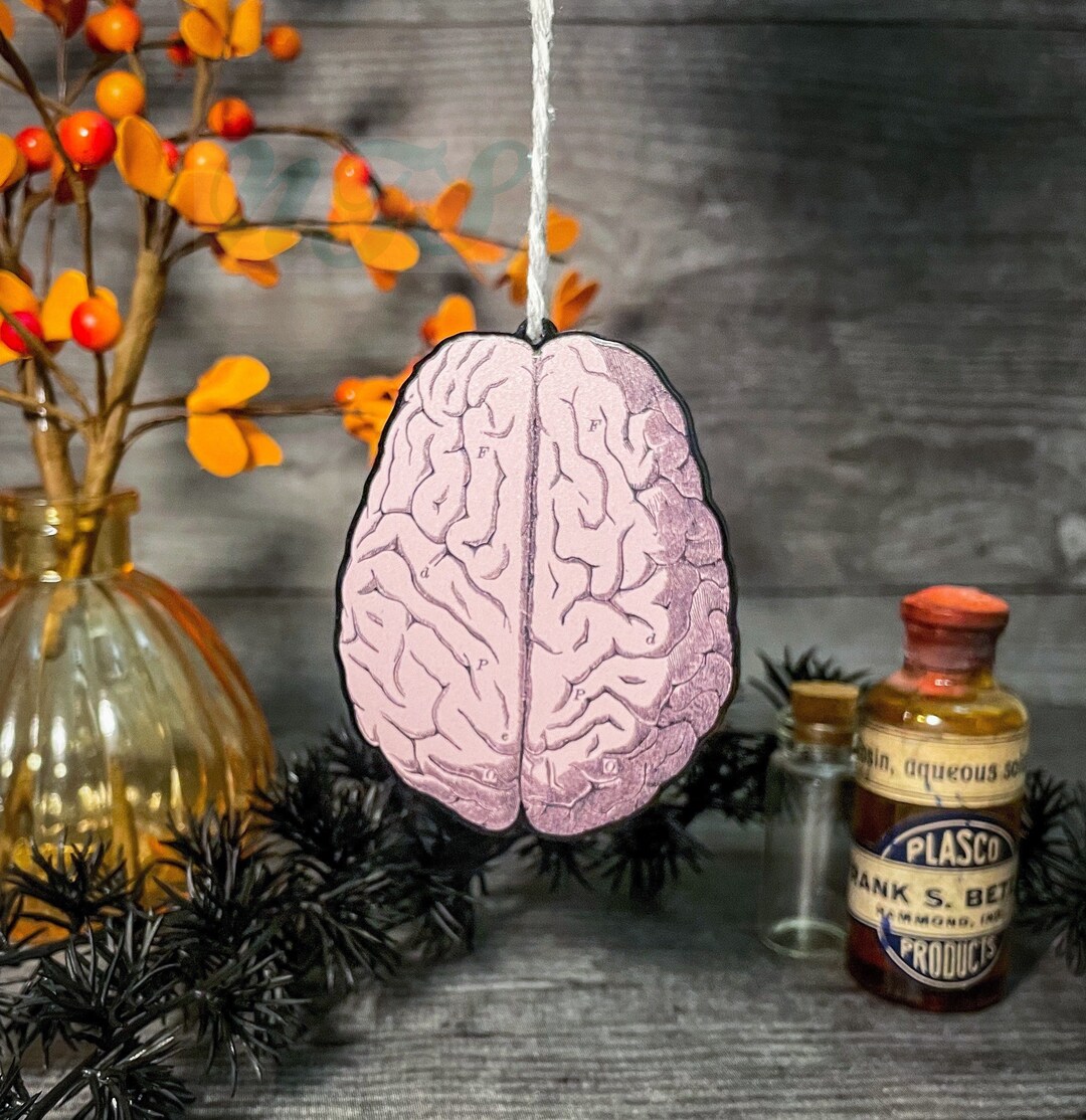 Brain Ornament, Anatomy Ornament, Anatomy Gift 3.5 Pink Brain - Etsy