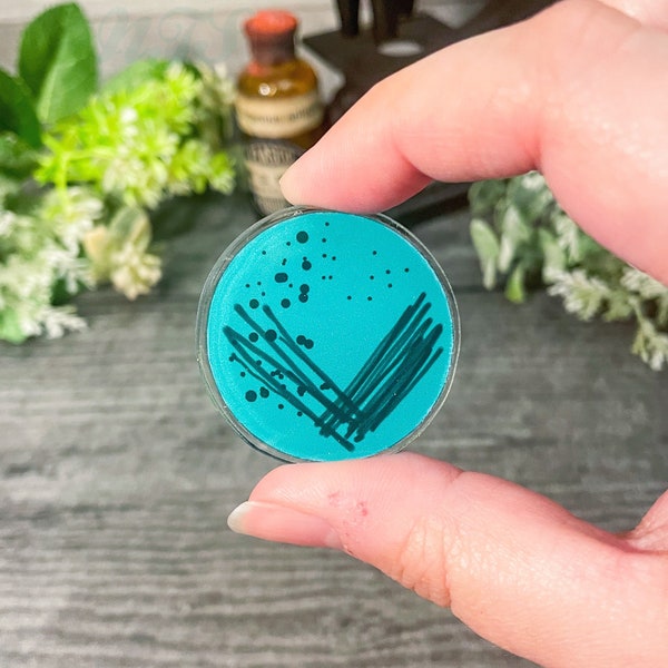 Bacteria Earrings - Etsy