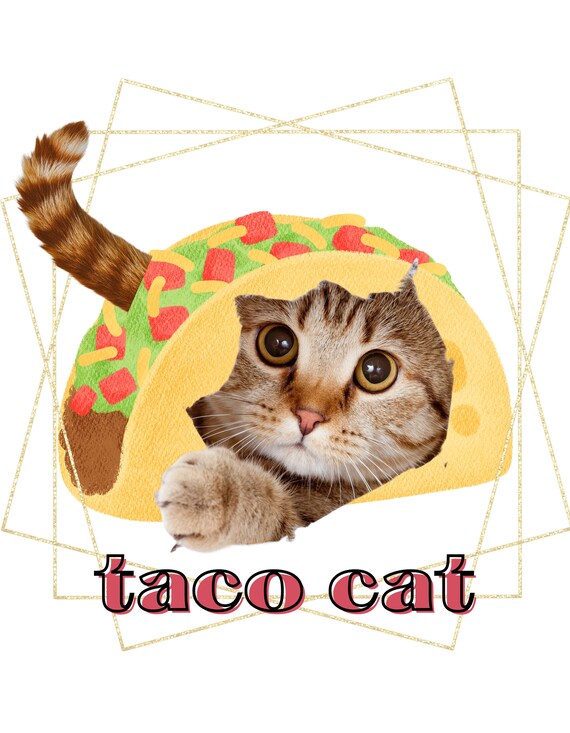 Taco Cat Meme