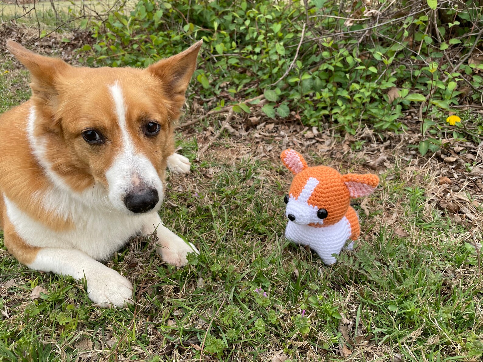 Small Corgi Plush Toy Amigurimi Doggo/pupper/dog/bestest - Etsy UK
