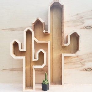 Cactus Planter - Succulent Arrangement - DIY Kit - Etsy