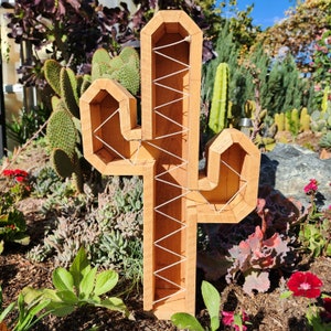 Cactus Planter - Succulent Arrangement - DIY Kit - Etsy
