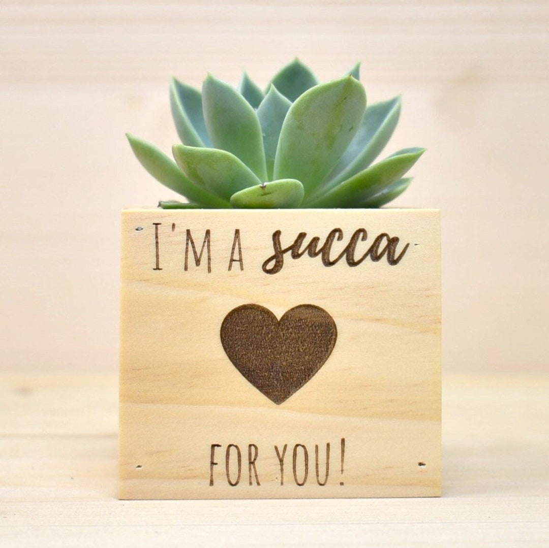 I'm A Succa for You! Wood Planter | Succulent Planter - Etsy