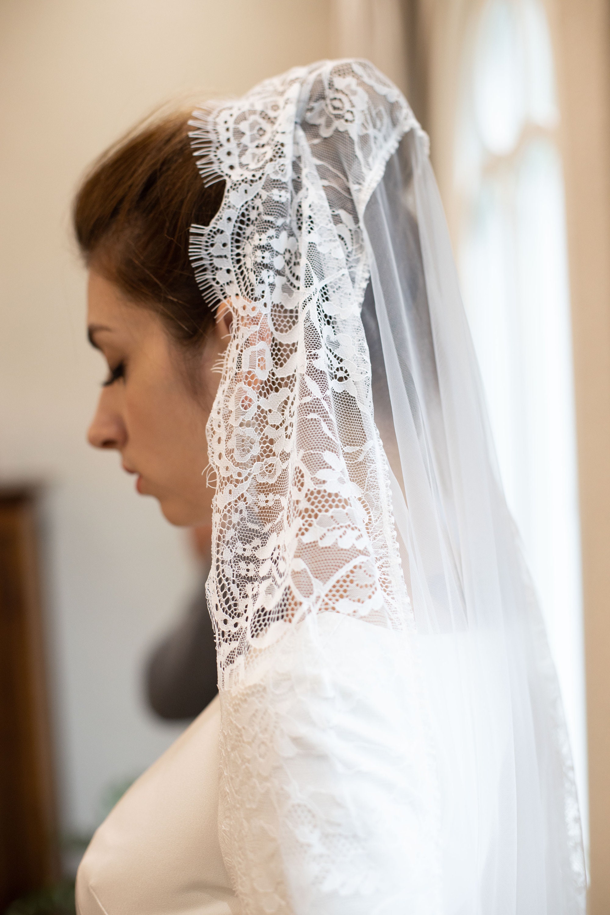 Soft Ivory Tulle, French Lace Wedding Veil , Cathedral & Chapel Lengths ...