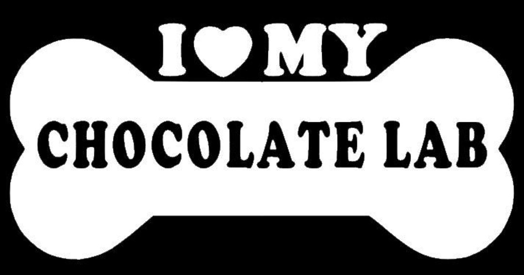 I Love My Chocolate Lab Decal White Choose Size - Etsy