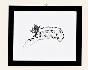 DIGITAL FILE spotty Nudibranch Ink Drawing Printable Art - Etsy