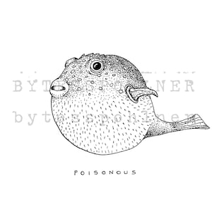 DIGITAL FILE "poisonous" Puffer Fish Drawing Printable Art - Etsy