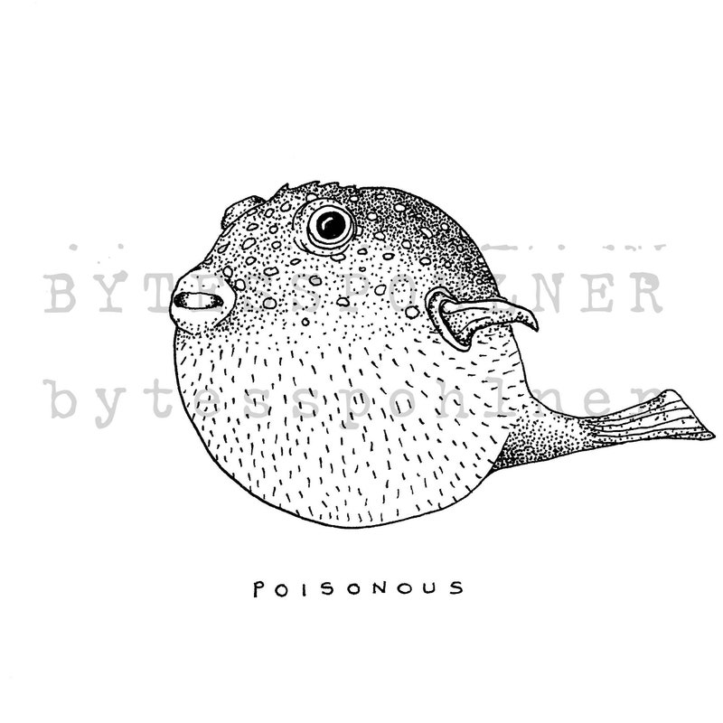 Fish Drawing - Etsy