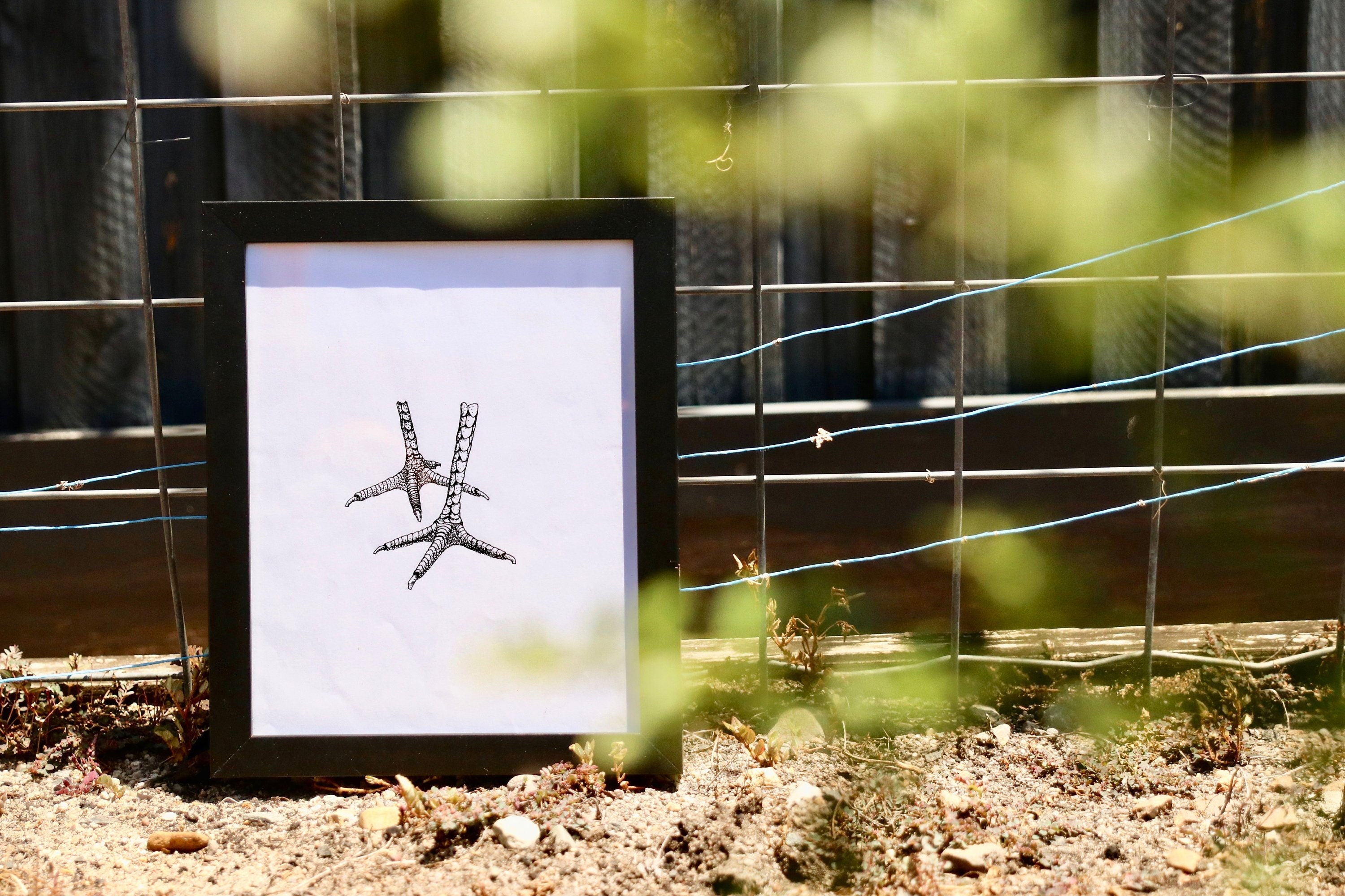 DIGITAL FILE Chicken Feet Drawing Printable Art - Etsy