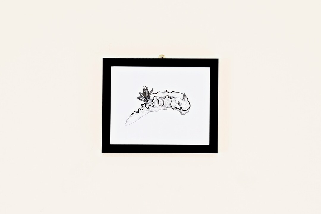 DIGITAL FILE Detailed Nudibranch Ink Drawing Printable Art - Etsy