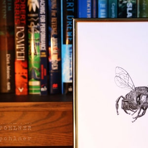 DIGITAL FILE Realistic Bee Ink Drawing Printable Art - Etsy