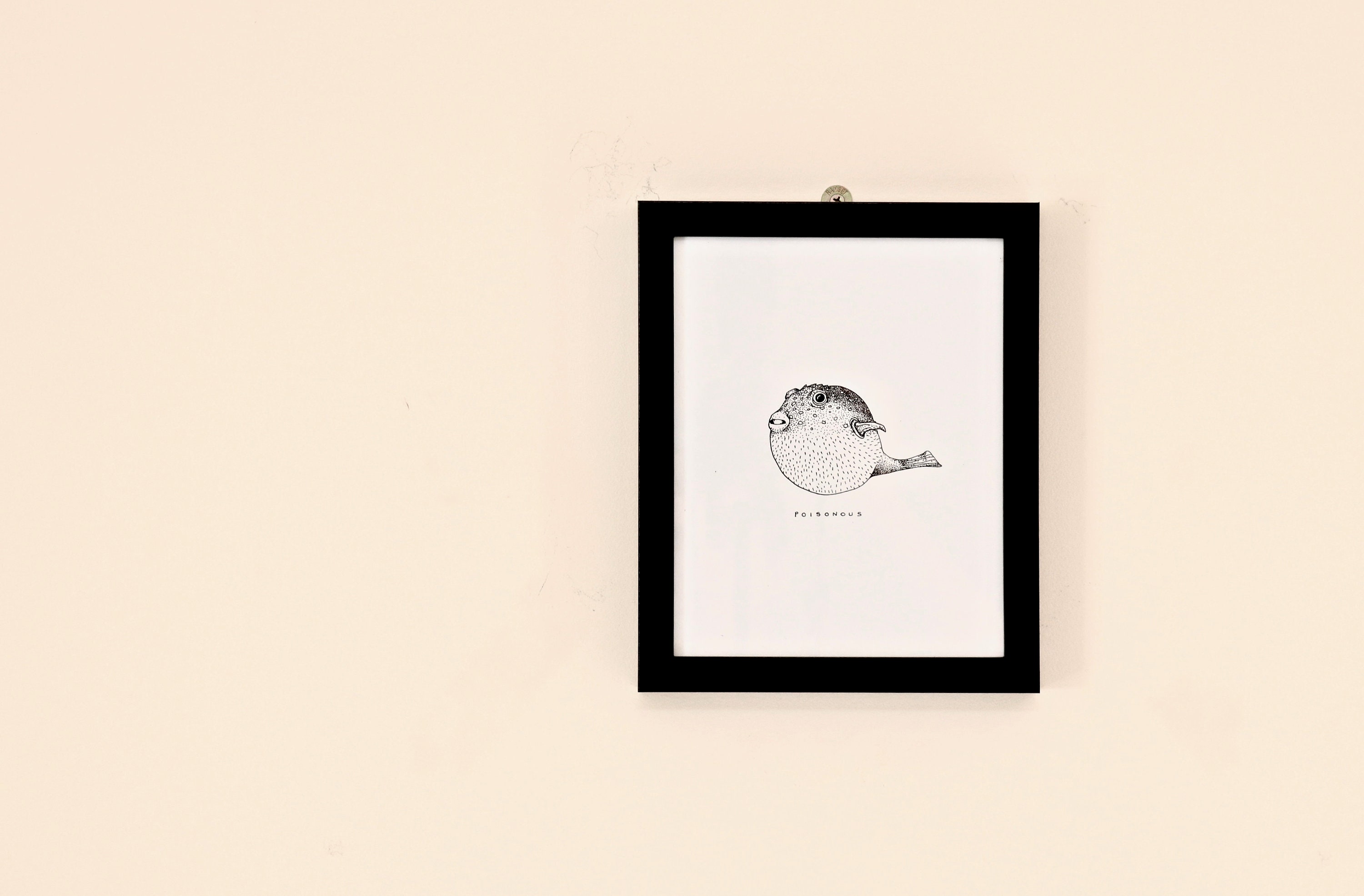 DIGITAL FILE "poisonous" Puffer Fish Drawing Printable Art - Etsy