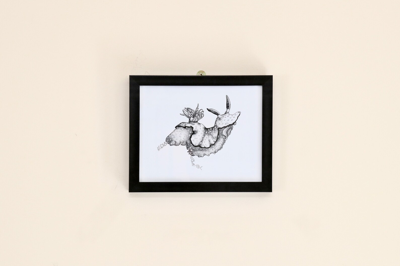 DIGITAL FILE "spotty Nudibranch" Ink Drawing Printable Art - Etsy